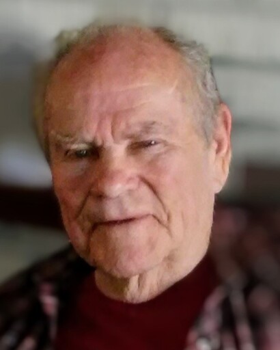 Earl H. Karns Obituary May 19, 2024 - Stephen P. Mizner Funeral Home ...