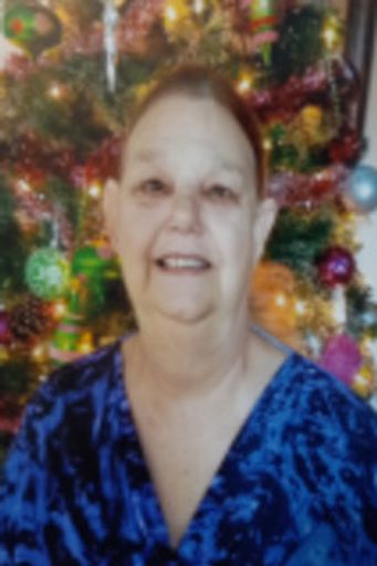 Sherry Lynn Reed Obituary 2022 - Illini Cremation
