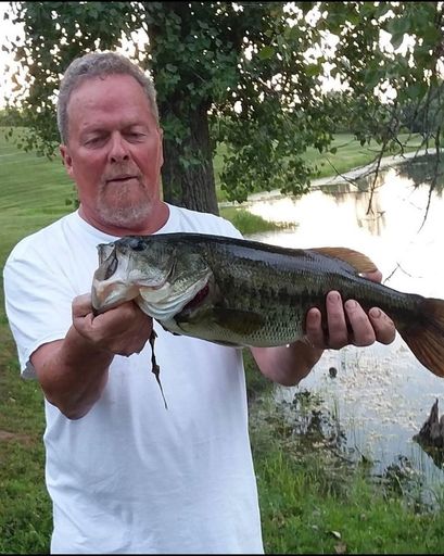 Most Recent Obituaries | Tribute Funeral Homes