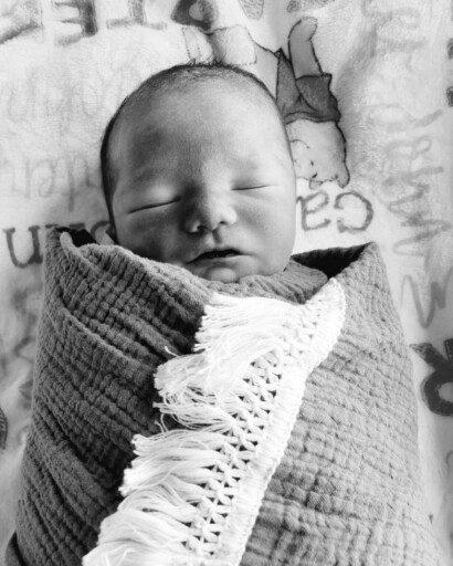 Carter John Hopper Obituary August 1, 2024 - Clement L. Pantalone ...