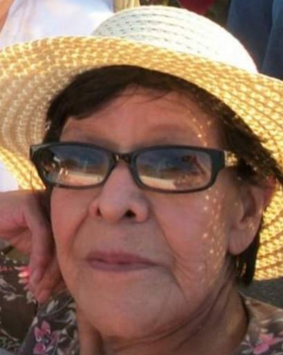 “Judy” Thomas Obituary November 22, 2024 - David-Donehower Funeral & Cremation Service