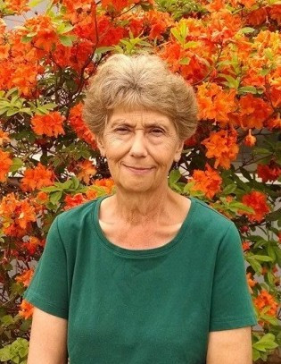 Sandra Lynn Poteat Obituary 2019 - Beam Funeral Service & Crematory