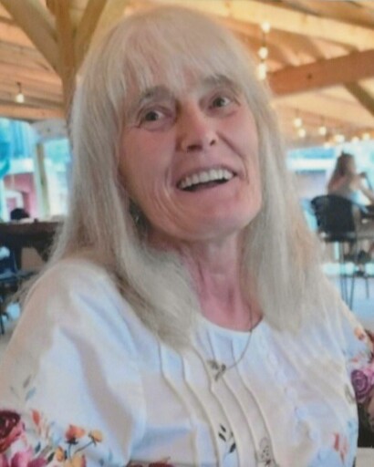 Nancy Lynn Beeman Obituary September 29, 2024 - Sowers Funeral Home