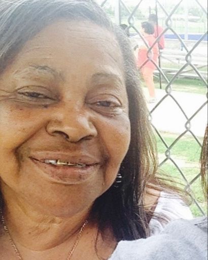 Sarah Cook Obituary July 8, 2023 - Belle Memorial Funeral Home