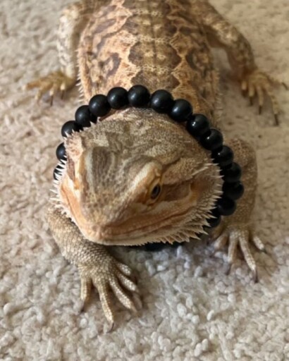 Most Recent Obituaries | Carlson & Riggs Funeral Home