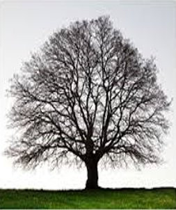 Dale Eugene Coonce Obituary 2019 - Randall & Roberts Funeral Home