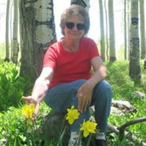 Judy Rae Conrad Brewer Obituary 2022 - Taylor Funeral Service & Crematory