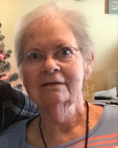 Nancy Neeley Obituary January 26, 2024 - Hodapp Funeral Homes