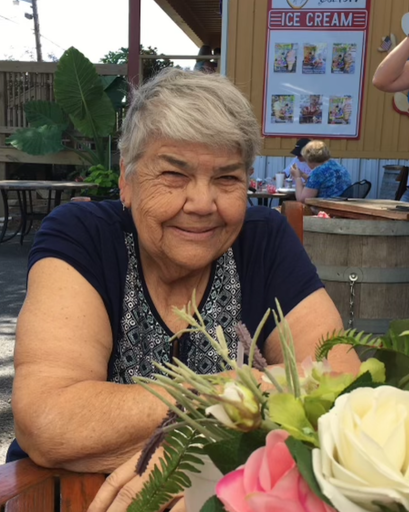 JoAnn Matteson Obituary February 27, 2024 - McReynolds-Nave & Larson