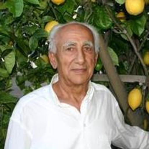 Hanna George Haddy Obituary January 18, 2015 - Thomas Miller Mortuary