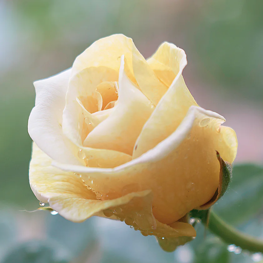 June Way Obituary 2023 - Menke Funeral & Cremation Center