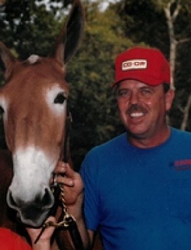 Charles Reed Obituary August 26, 2020 - Spring Hill Memorial Park ...