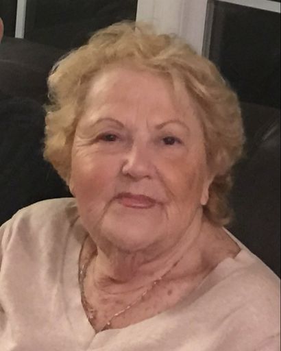 Janice H. Fishbein Obituary November 29, 2024 - Joseph Levine and Sons