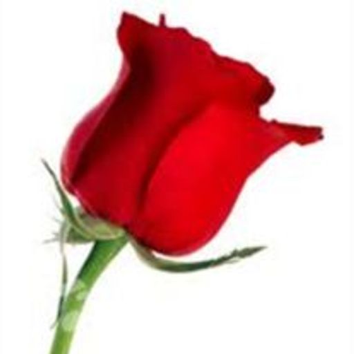 Michael Althoff Obituary December 7, 2013 - Smart Cremation