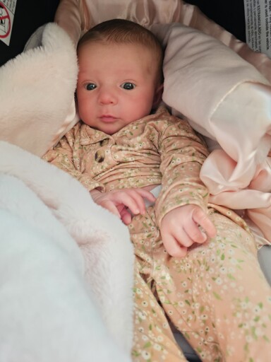 Harley Rae Carruthers Obituary June 30, 2024 - Hoy- Kilnoski Funeral ...