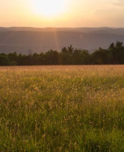 Deborah Tully Obituary 2022 - Park Lawn Funeral Homes