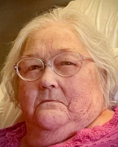 Jamie Sue McKinney Shain Obituary 2024 - Glenn Funeral Home and Crematory