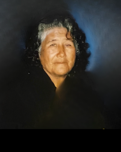 Paula Herrera Obituary 2023 - Charlie Marshall Funeral Home and Crematory