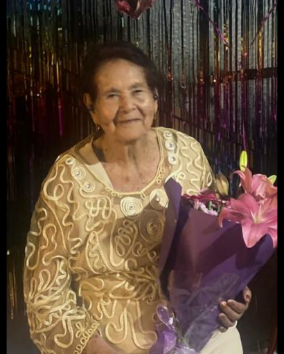 Elena Ledesma Chavez Obituary July 25, 2024 - Amor Eterno Funeral And ...