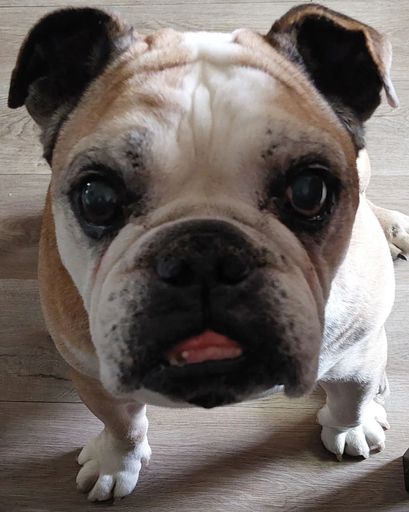 Archie Rodriguez Obituary May 6, 2023 - Young's Daughters Funeral Home ...