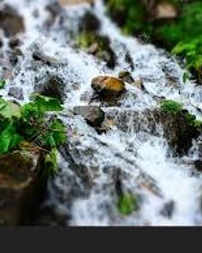 Alton Isadore Slansky Obituary March 24, 2024 - Chapel Hill Funeral ...