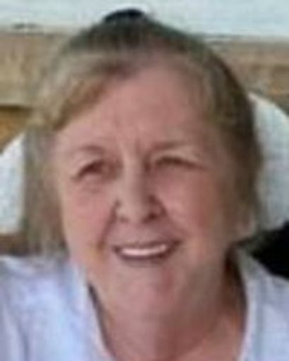 Sandra Sue Nelson Obituary November 24, 2023 - Collins Funeral Home
