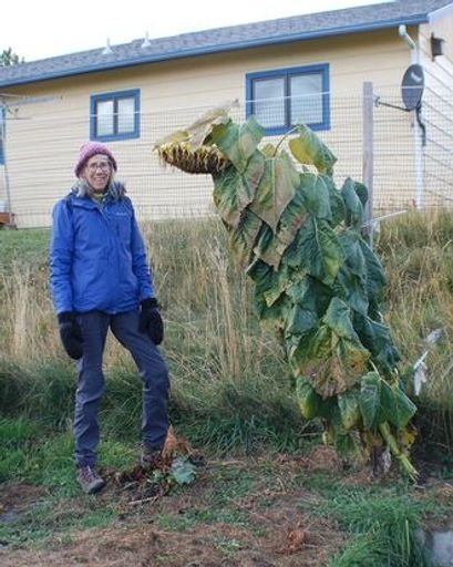 Barbara Noggle Obituary December 14, 2023 - Garden City Funeral Home ...