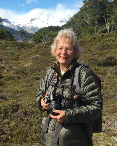 Elizabeth York Gerlock Obituary November 1, 2024 - Harpeth Hills Memory ...