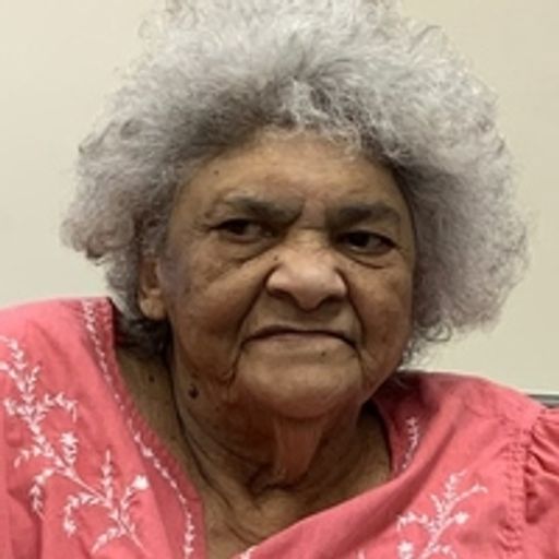 Santa Isabel Ocasio Matos Obituary January 10, 2021 - Homer Funeral Home