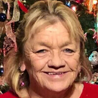 Lisa Haas Obituary July 2, 2023 - Memorial Funeral Home & Crematory