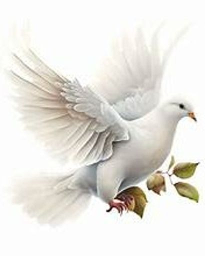 Evelyn Geneita Davis McCray Obituary March 9, 2025 - Edwards Small Mortuary