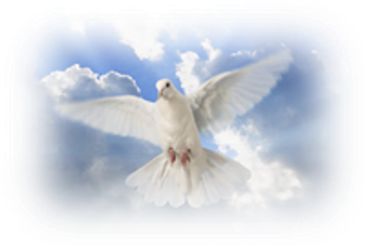 Reverend George L. Harris Obituary - Nelson and Sons Funeral Home