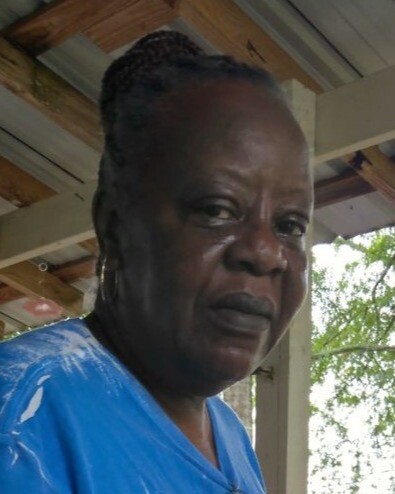 Virginia Ann Johnson Obituary November 11, 2024 - Myers - Colonial ...