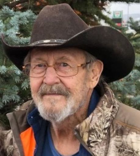 Wallace "Wally" Nelson, Jr Obituary December 16, 2021 - Hullinger Mortuary