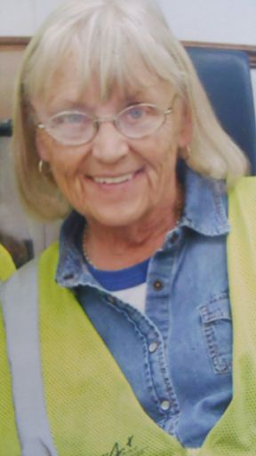 Patricia Ann Novak Obituary - Roeder Mortuary