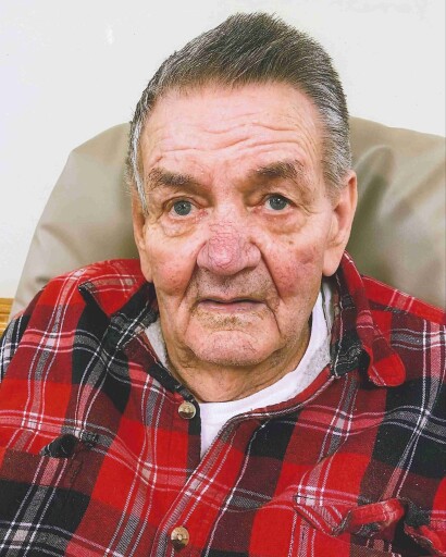 Most Recent Obituaries | Funeral and Cremation Service - Olson and ...