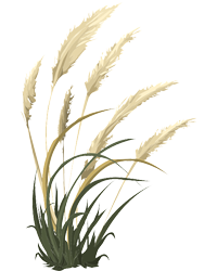 Eugene Clapper Obituary 2018 - Buffalo Hill Funeral Home & Crematory