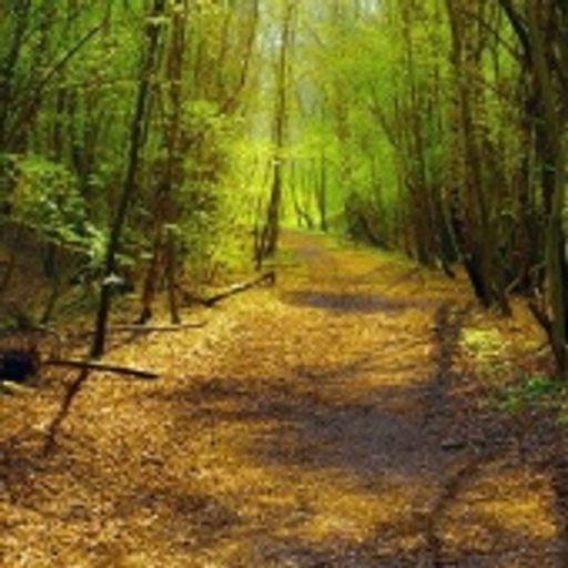 Terry Allen Woosley Obituary 2017 - Northwood Park Funeral Home & Cemetery