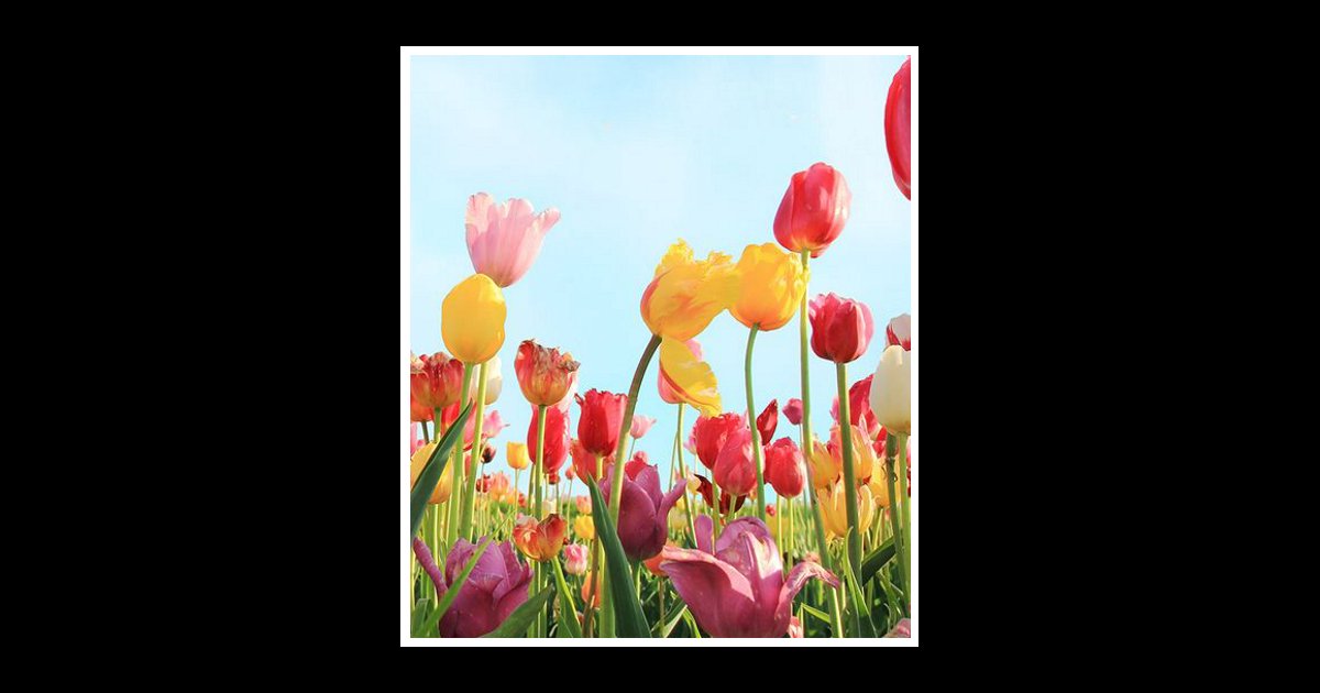 Deborah Jean Matthews Obituary March 17, 2025 - Cremation Society of SC ...