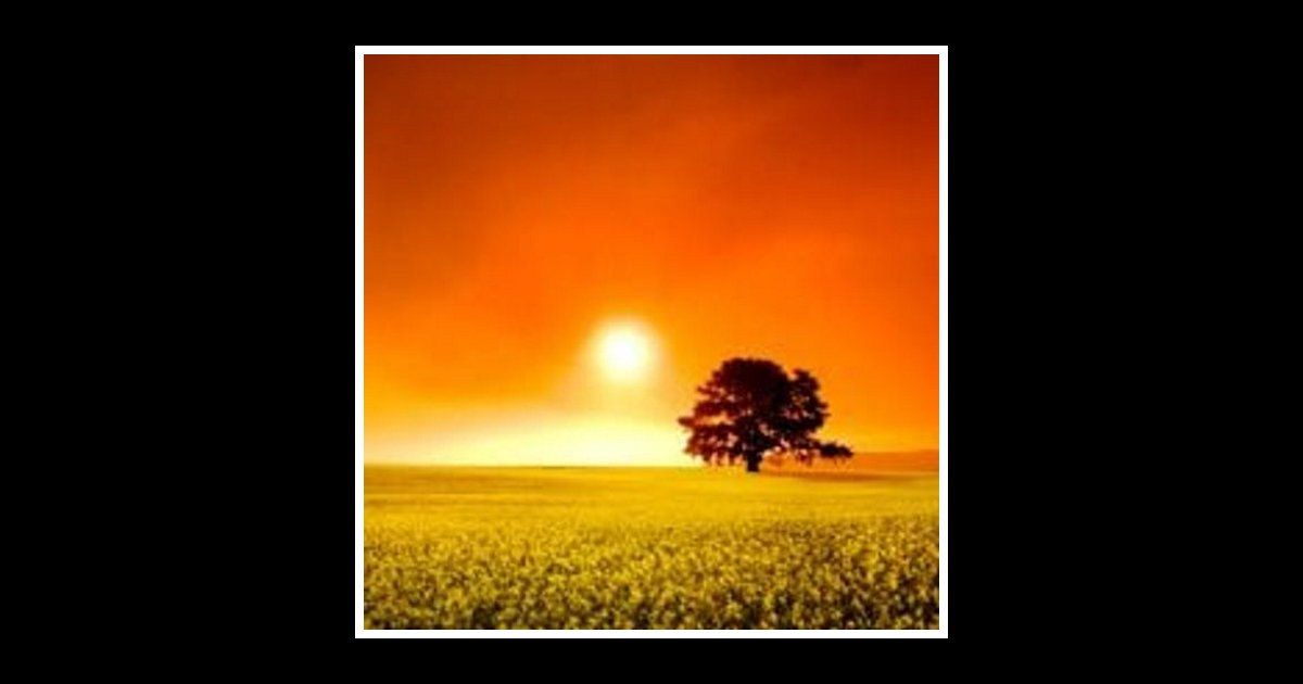 Roger McNeil Page Obituary September 19, 2020 - Cremation Society of SC ...