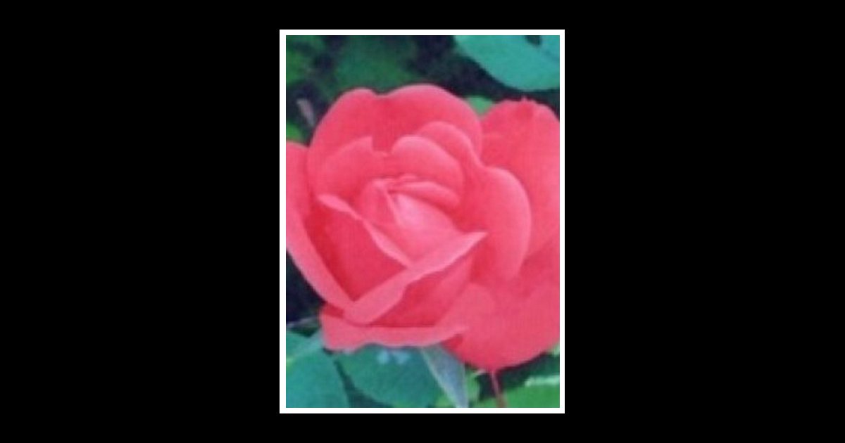 Peggy Jane Gillespie Obituary 2021 - Tharp Funeral Home & Crematory Peggy Jane Gillespie Obituary 2021 - Tharp Funeral Home & Crematory