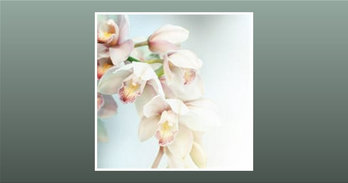 Kelin B. Hansley Obituary May 13, 2023 - Henry Funeral Home