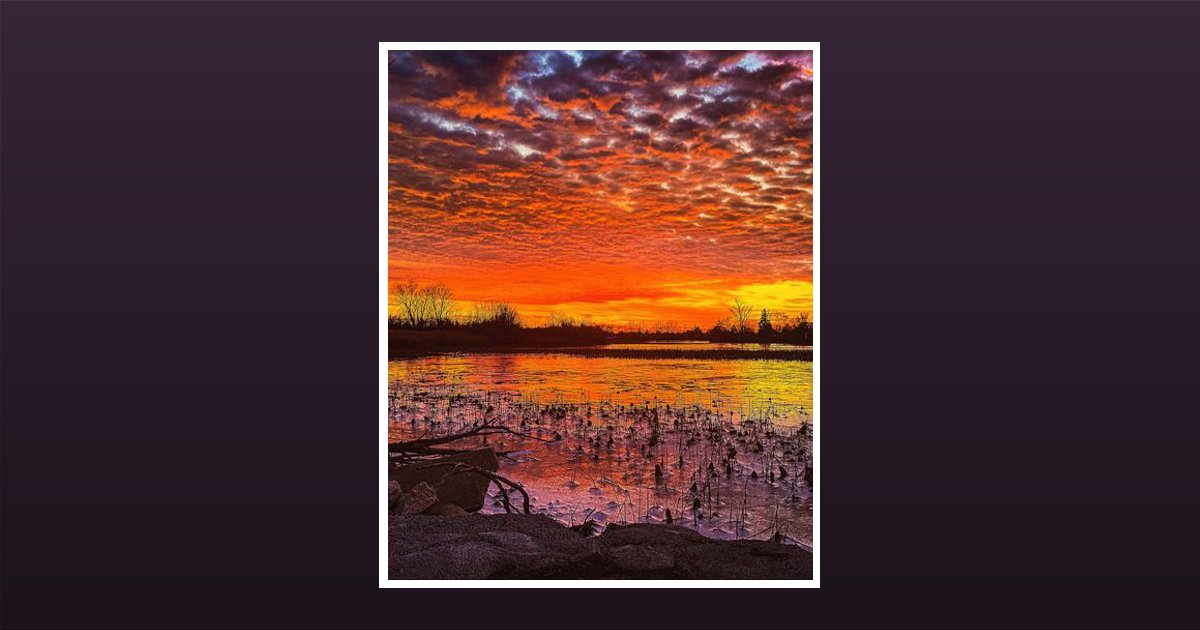 Larry D Bernhard Obituary December 7, 2024 - Walter Funeral Home ...