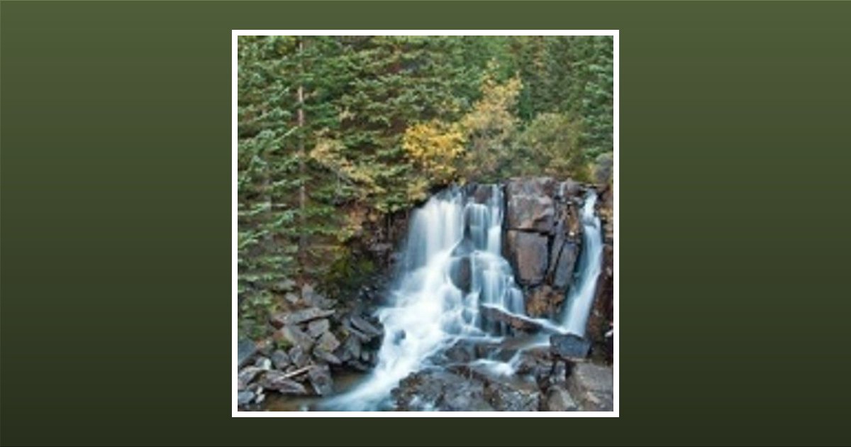 Richard D. Whitmore Iii Obituary August 1, 2013 - Martenson Family of ...