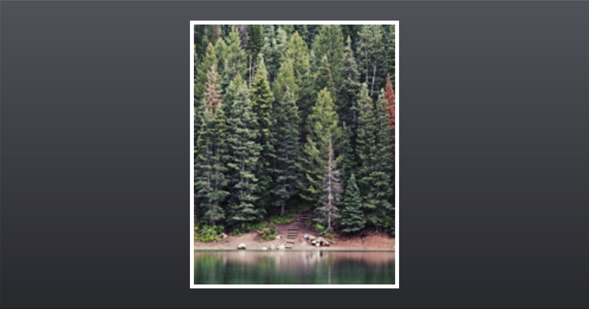 Tom Denman Jr. Obituary July 4, 2019 - Martenson Family of Funeral ...