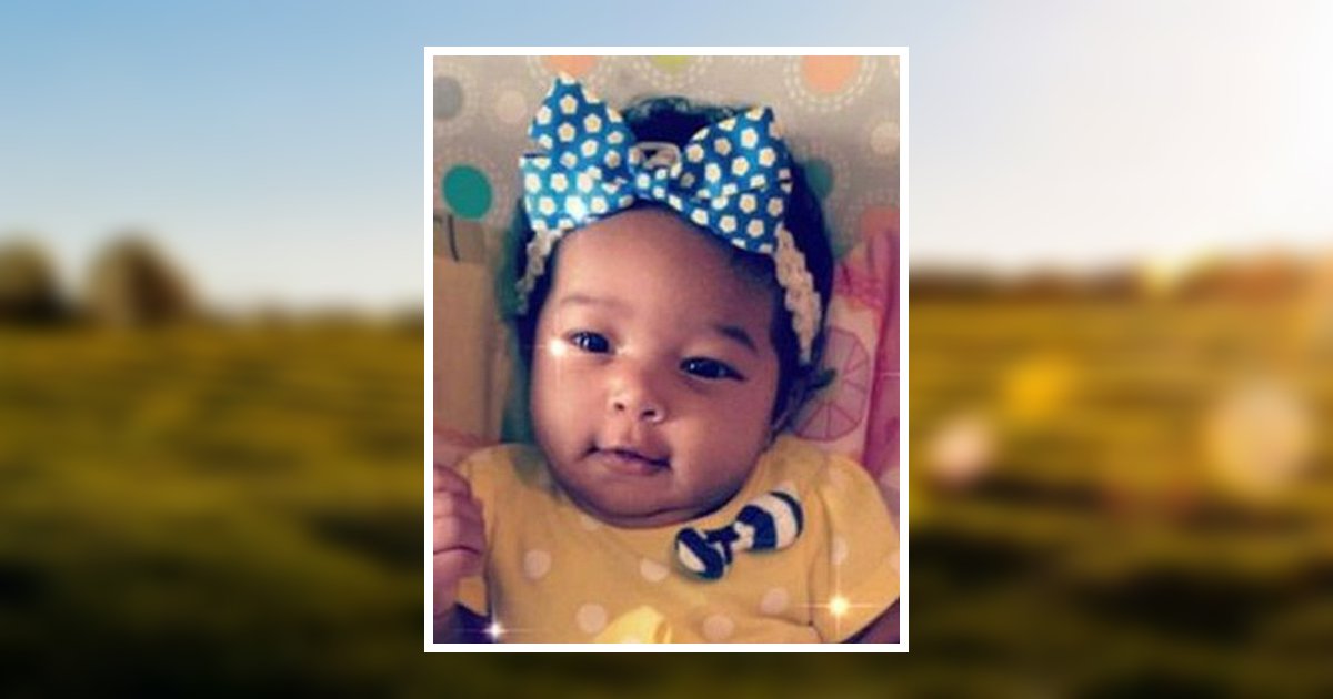 Amari Rose Marie Blue Obituary March 31, 2018 - Johnson Funeral Home