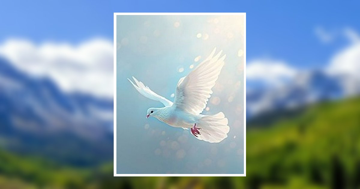 Paula Jeanne Petersen Obituary September 1, 2024 - Newcomer Green Bay