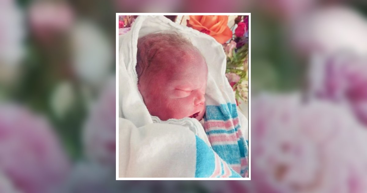 Hannah Ruth Hagler Obituary July 31, 2024 - Williamson Memorial Funeral ...