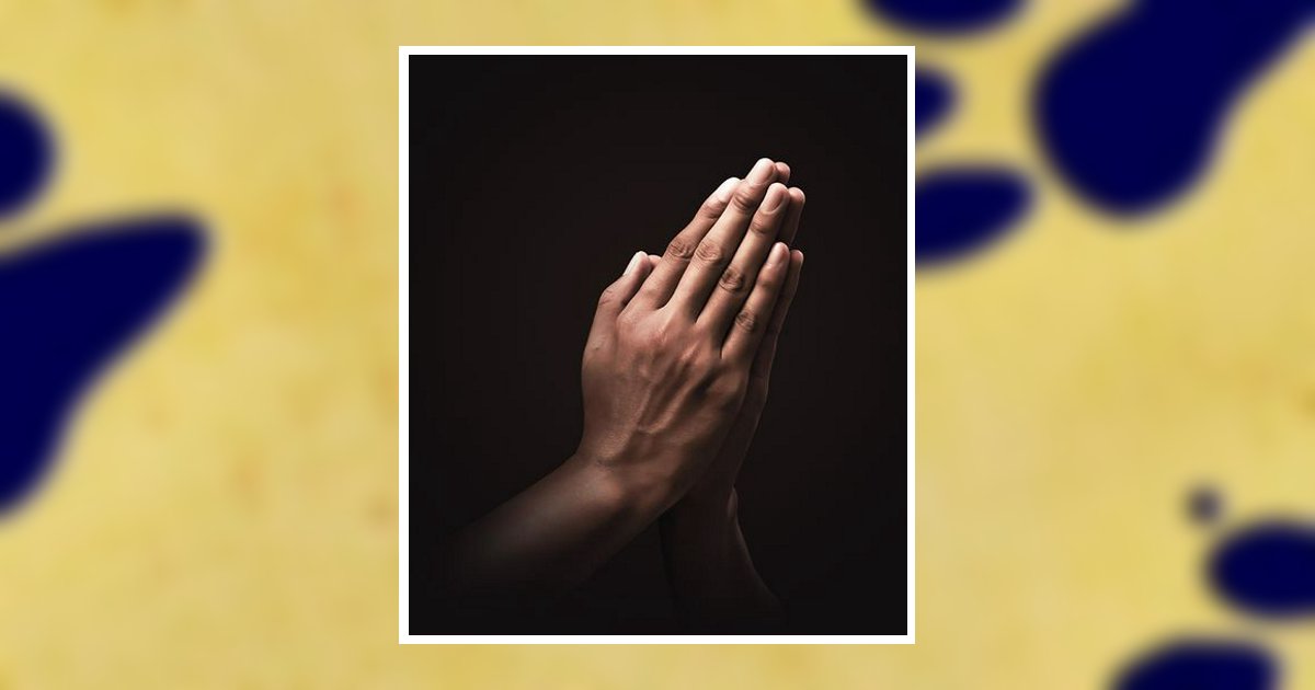 Cindy Haas Swain Obituary February 16, 2025 - Frank E Smith Funeral ...