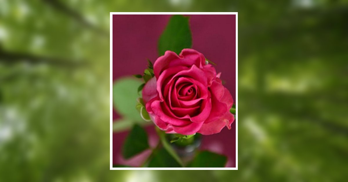 Ruth Ann Walker Obituary June 12, 2025 - Fisher Cheney Funeral Home